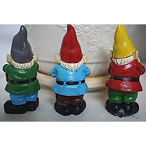 MUAMAX Miniature Gnome Figurines Set of 3 Small Gnomes Sets for Fairy Gardens Gnomes Gifts Gnome Garden Accessories