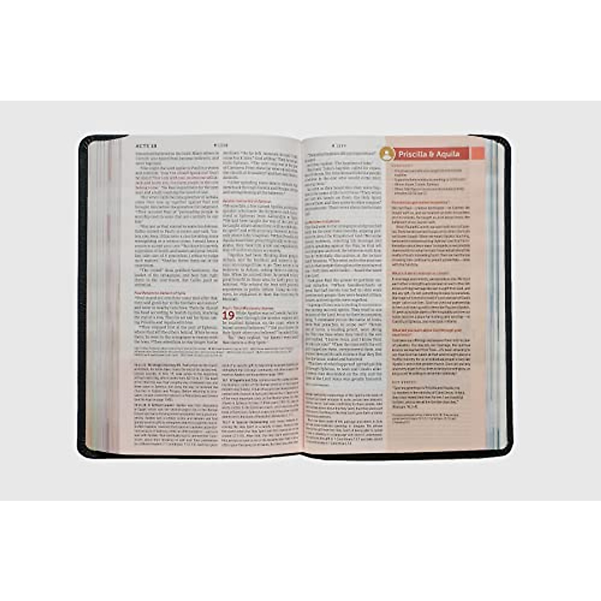 NLT Student Life Application Study Bible, Filament Enabled (LeatherLike, Charcoal Gray Striped, Red Letter)