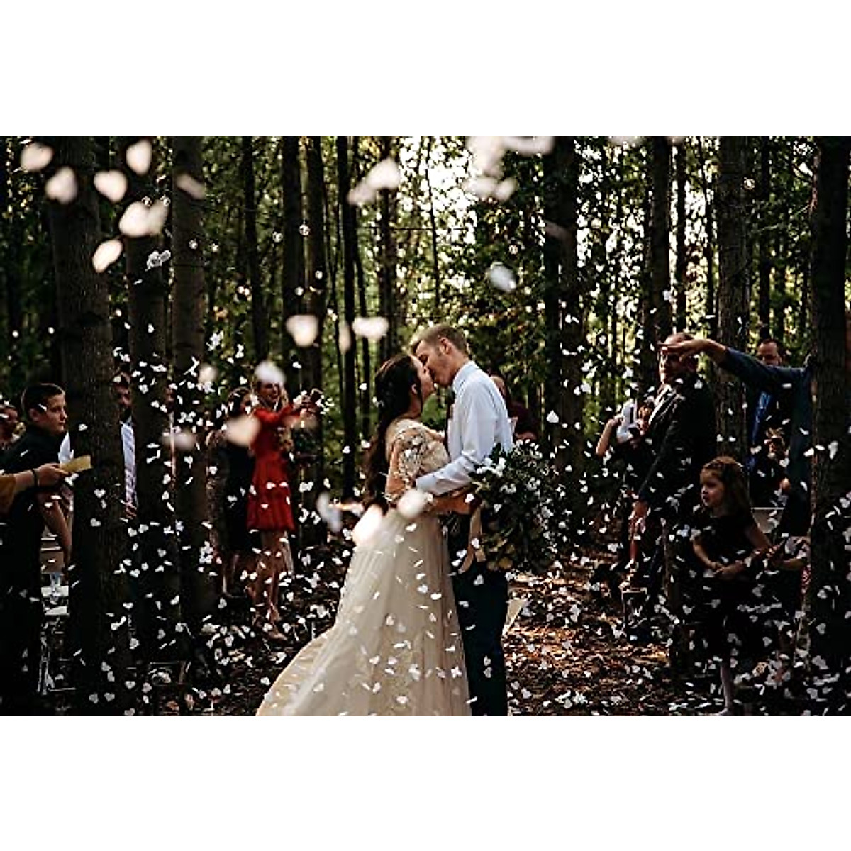 Heart Shaped Biodegradable Wedding Confetti - 10,000 pieces. Product of The USA.