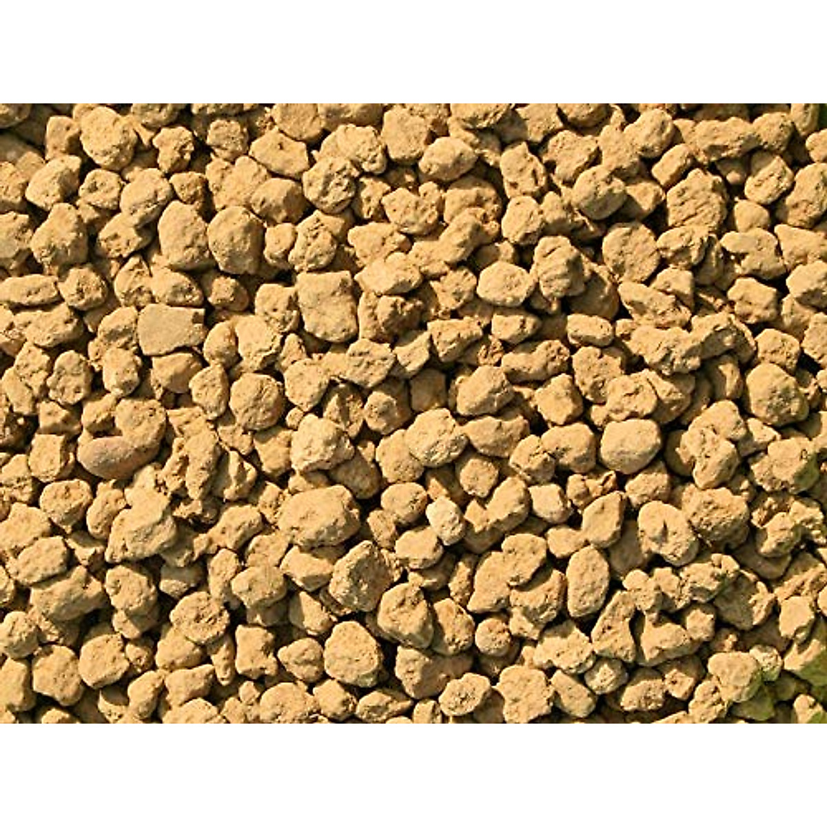 Calibonsai Japanese Super Hard Akadama for Bonsai / Succulent Soil - Large Size Grain (10mm-18mm) 13 Liter, KOBALAR