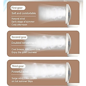 Household Dual-use Kitchen Fan - Portable Powerful Table Fan Wall-mounted Fan, 3 Speed Wind 120° Rotate Desktop Fan, Adjustment Table Fan for Kitchen Home (White (Straight Plug-Not Rechargeable))