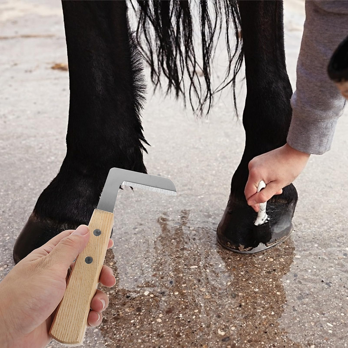 Happyyami Hoof Trimmer Portable Horse Shoeing Tool Horseshoe Repairing Cutter Stainless Steel Horseshoe File Animal Foot Pruning Tool Hoof Repair Tool Horseshoe Cutting Tool Shoeing Tools