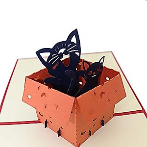 DUBRIX 3D Popup Greeting cards Pop Up Card with envelope Cat in the box for kids,girl friends The Perfect Handmade Gifts on Birthday
