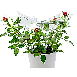 Adabocute Bird Shaped Plant Watering Globes - Watering Bulbs For Outdoor Plants - Clear Plant Watering Bulbs - 3 Pack Self Watering Planter Insert