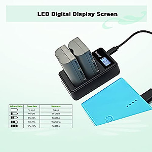 Bonadget 2 Pack 2000mAh EN-EL3 EN-EL3A Replacement Battery and LCD Dual Charger Compatible with Nikon D700 D90 D300S D300 D200 D80 D50 D70S D70 D100 D900 Digital Cameras