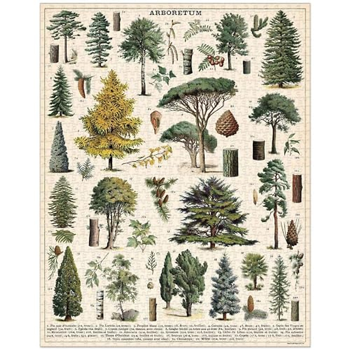 Cavallini Papers & Co. Arboretum 1,000 Piece Puzzle, Multi