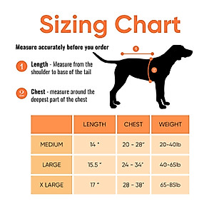 Dog Back Brace - Specialized IVDD Back Brace for Dogs, Arthritis Relief, Herniated Disc, Slipped Disc, Surgery Recovery - Dog Spine Support Harness - IVDD Dog Supplies, PetAngell - Large