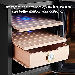 MoGed Mini Cooler 35L with Temperature and Humidity System, Made With Spanish Cedar, Full Glass Door, For Business &Gift