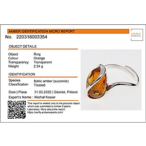 HolidayGiftShops Sterling Silver and Baltic Honey Amber Adjustable Ring Sunshine