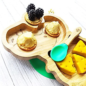 Xboo Toddler Plates, Bamboo Baby Suction Plates, Bamboo Suction Plates for Toddlers, Stay Put Feeding Plates, Wooden Divided Plate, Baby Dishes, Kids Plates, BPA Free | Rex_Green
