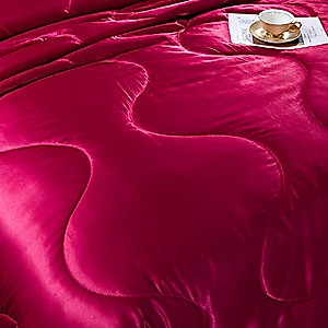 Sisher 5Pcs Silk Comforter Set Queen Bedding Set Red Satin Silky Soft Bed in A Bag Luxury Quilt Comforter&Sheets (1 Comforter, 2 Pillowcases, 1 Flat Sheet, 1 Fitted Sheet)