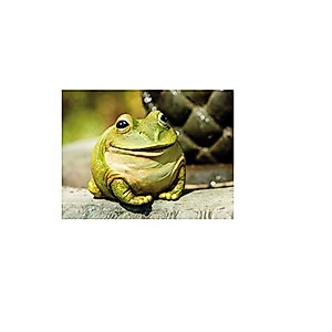 Evergreen Cute Portly Frog Outdoor Statue and Secret Key Holder | Weatherproof and Outdoor Safe | Garden Sculpture | Porch Garage or Patio Home Decor | 6 Inches Tall