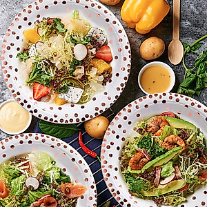 hapray 201PCS Disposable Paper Plates Rose Gold Party Supplies, Polka Dots Birthday and Baptism Decorations, include Cups, Napkins, Plastic Tablecloth, for Baby Shower