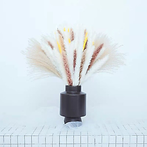 Pampas Grass 100Pcs Dried Pampas Grass Decor Fluffy Pompous Grass Mini Dried Flower Bouquet for Boho Home Decor