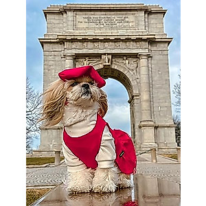 Fitwarm 2-Pack Dog XOXO Tulle Dress, 100% Cotton Dog Clothes for Small Dogs Girl, Cat Apparel, Red, XS