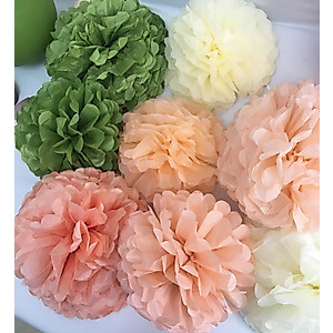Bridal Shower Decorations Sage Green - Peach Olive Green Boho Bachelorette Party Decorations with Balloons Tissue Paper Flower Pompoms and Tassel Garland (Sage green + Peach)