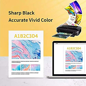 LC203BK XL Compatible Ink Cartridge for Brother LC203XL LC201XL LC203 LC201 Black cartridgesto use with MFC-J480DW MFC-J880DW MFC-J4420DW MFC-J680DW MFC-J885DW Printer (10 Pack Black)