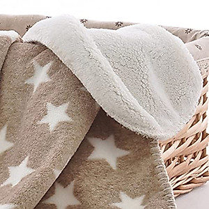 LeerKing Dog Blanket Double Layer 30 x 40 Inches, Micro Fleece Plush Warm Puppy Blanket Bed Cover Protection Pet Cat Kitten Flannel Throw Blanket