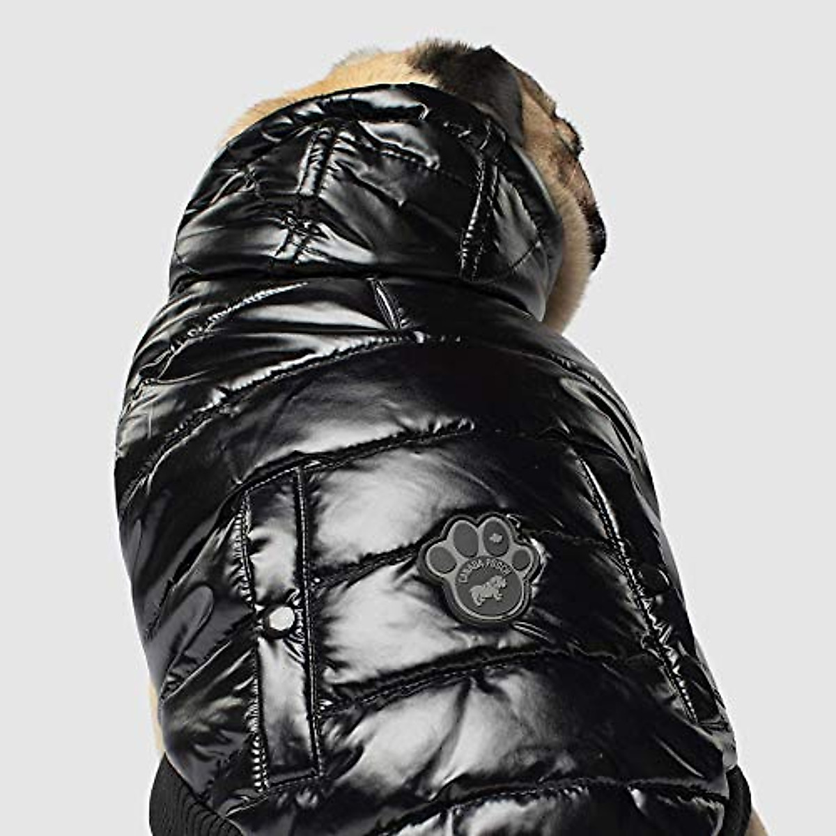 Canada Pooch Cp01747 Nordpol Parka Black Gloss Size 14