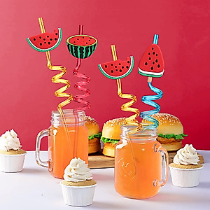 AFZMON 24 PCS Watermelon Drinking Straws Reusable Fruit Plastic Beverages Cocktail Straw with Cartoon Decoration for Kids Watermelon Party Supplies for One in A Melon Birthday Party Favors