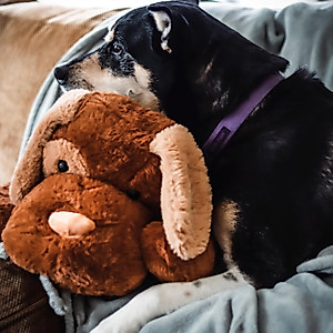 Pet Fit For Life Heartbeat Dog Toy with Heat for Calming Anxiety - Puppy Sleep Aid with USB Rechargeable Heart Beat Simulator and Reusable Heating/Cooling Pad Insert - Extra Large