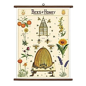 Cavallini Papers & Co., Inc. Bees & Honey Vintage School Chart, Multi