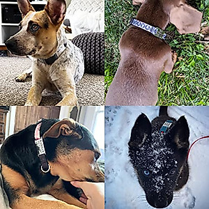 Slide-On Pet ID Tags - S/M/L/XL Personalized Dog and Cat Tags, Silent, No Noise Collar Tags Made of Stainless Steel, Large-fits 1 inch Collars, Custom Engraved Dog Name Tags