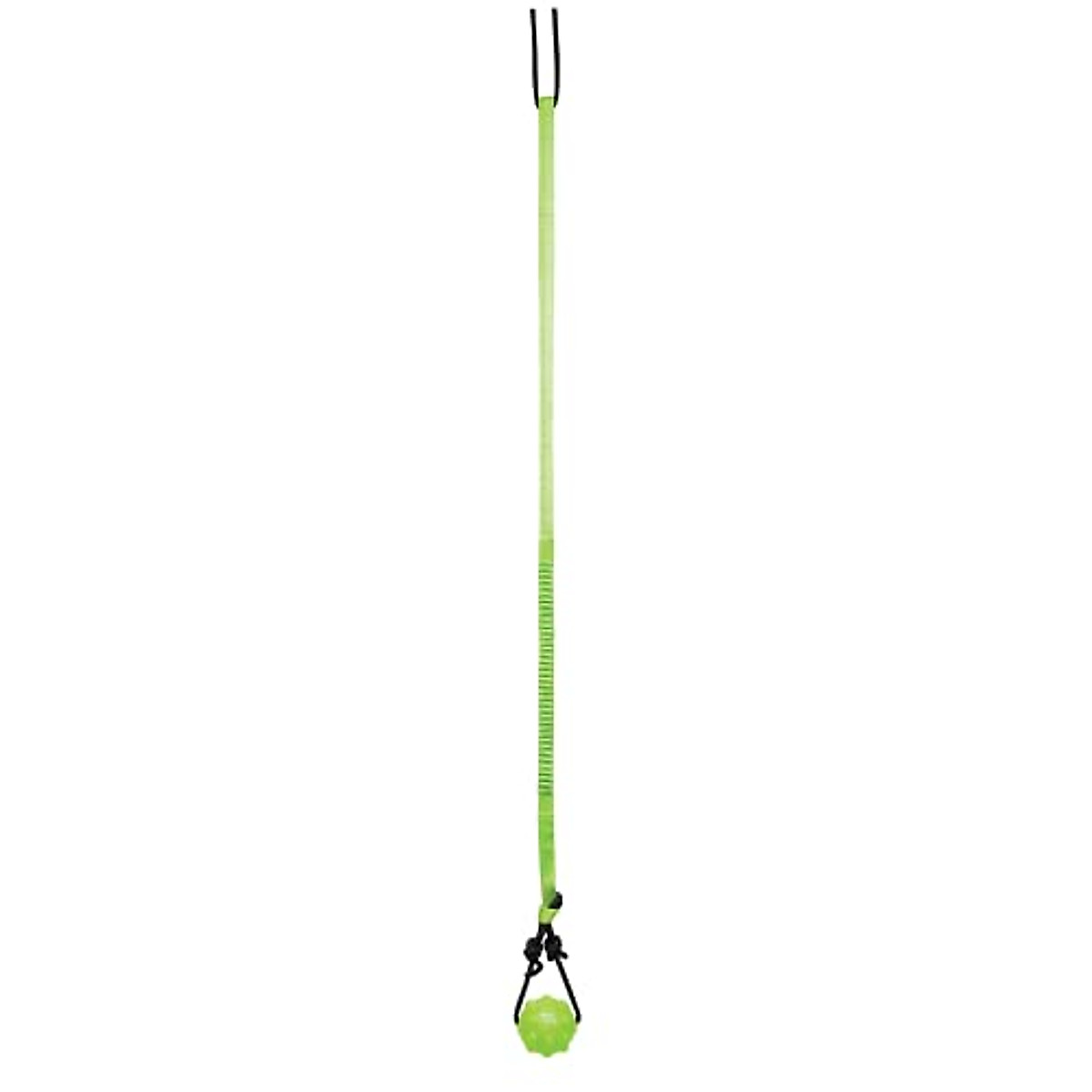 Jolly Pets Tree Tugger For Dog, Green