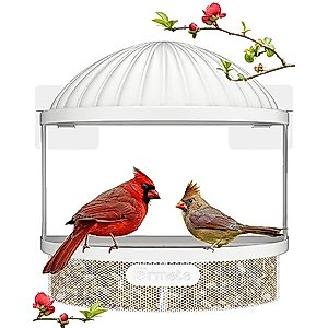 Ermete Durable Metal Bird Window Feeder with Seed Tray and Strong Suction Cups - Window Bird Watching Gift, White