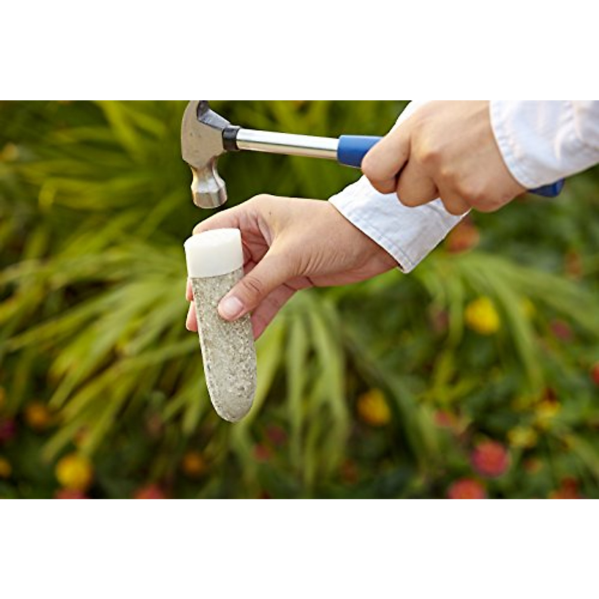 Miracle-Gro Fruit & Citrus Plant Food Spikes 12 per Pack