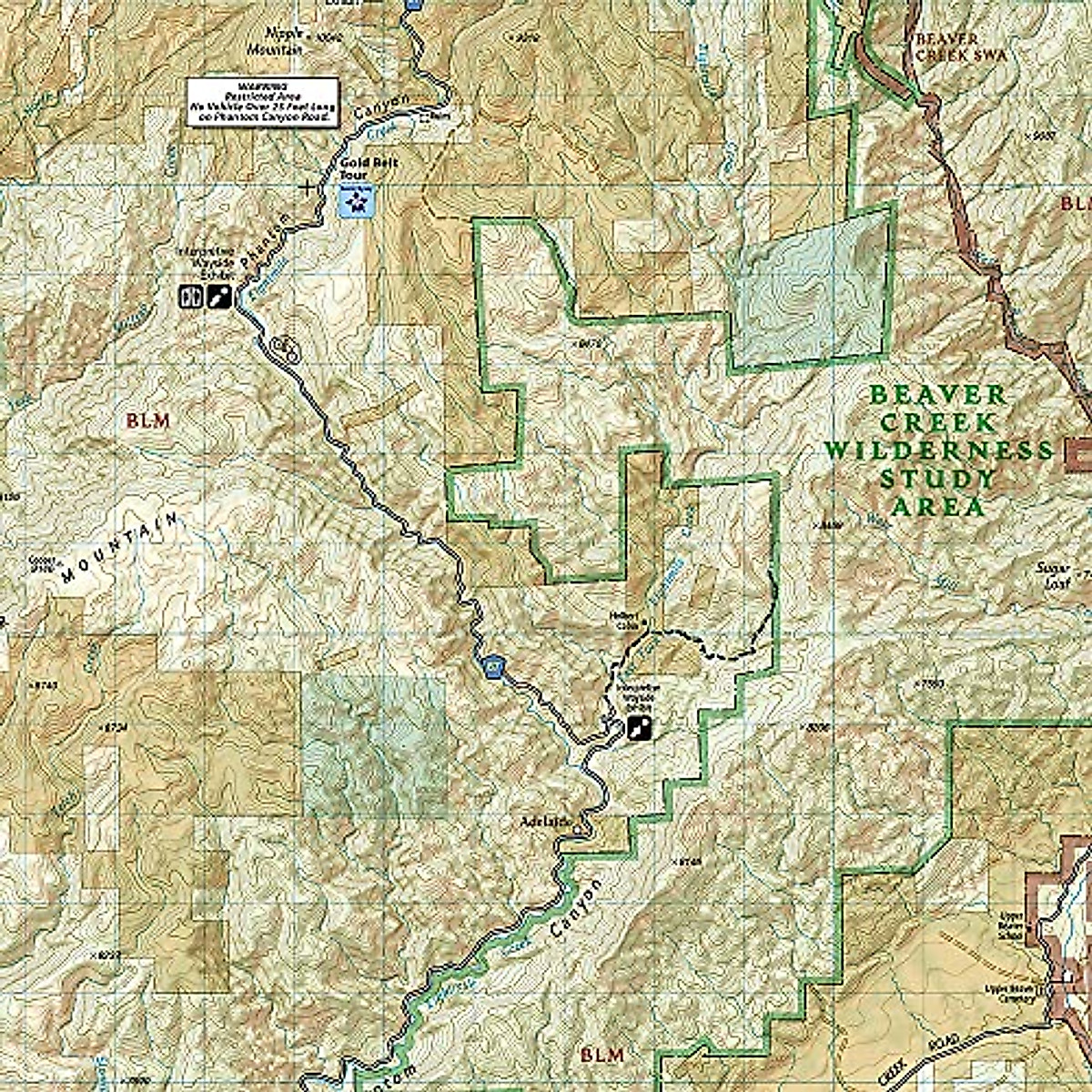 Pikes Peak, Cañon City Map (National Geographic Trails Illustrated Map, 137)