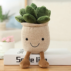 NatureMan Stuffed Plants Succulent Plush, Soft Fluffy Toy Succulent Plants Friend Throw Pillow,Succulents Plushies Pillow Toy Room (Khaki)