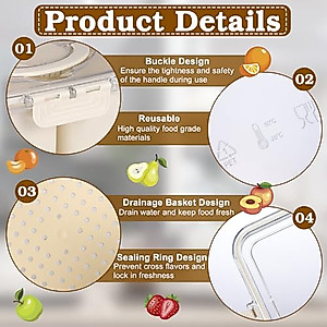 PYQTH Fruit Storage Containers for Fridge, Portable Divided Food Storage Containers with Lid and Handle, BPA-Free Saver Refrigerator Food Organizer Bins with 1 Brush for Veggies Fruit, 4 Compartments