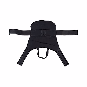 Midlee Santa Claus Jockey Dog Costume (Large)