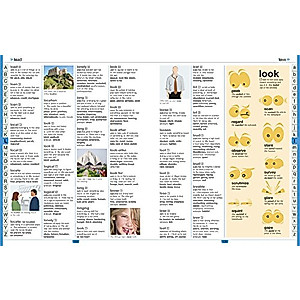 Children's Illustrated Thesaurus (DK Children's Illustrated Reference)