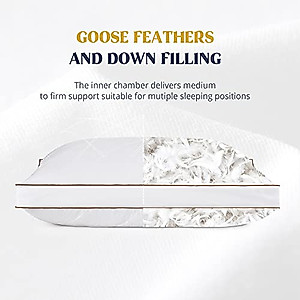 puredown Goose Down Feather Sleeping 100% Cotton Pillow Cover Down proof, Standard/Queen, Gusseted, Set of 2.