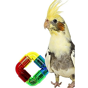 Bonka Bird Toys 00906 Rattler Ring Foot Talon Toy Parrot Rattle Conure Parakeet African Grey Training Balance Agility Aviary Supplies Plastic Colorful Fun Playground
