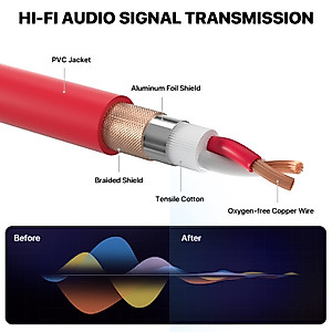 EBXYA XLR Cable 2ft 10 Pack 3 Pins Balanced XLR Microphone Cable Male to Female Suitable for Audio Mixer, Speaker Systems, Radio Station