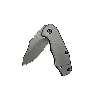 Kershaw Ember Pocketknife, 2" 8Cr13MoV Stainless Steel Drop Point Blade, Compact Folding Knife, Assisted Opening