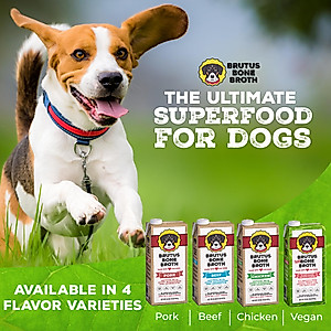 Brutus Vegetable Broth for Dogs 192 oz | All Natural | Made in USA |Omegas & Turmeric for Healthy Skin & Coat |Human Grade Ingredients |Hydrating Dog Food Topper, Gravy & Treat Salmon 6-Packs