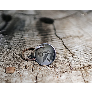 Only Natural Pet Easy Defense Tickless Flea & Tick Tag - Pest & Mosquito Repellent Shield for Dogs & Cats - Attach to Collar for Long-Lasting Prevention - Full Year Protection with a Single Tag