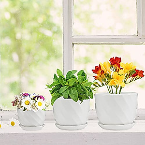 Laerjin Plant Pots, 4.05" & 5.51" & 6.77" Flower Pot, Ceramic Garden Plant Pots with Connected Saucer for Garden, Set of 3 in Different Sizes