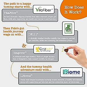Zesty Paws Probiotics for Dogs - Digestive Enzymes for Gut Flora, Digestive Health, Diarrhea & Bowel Support - Clinically Studied DE111 - Dog Supplement Soft Chew for Pet Immune System - VS - 90 Count
