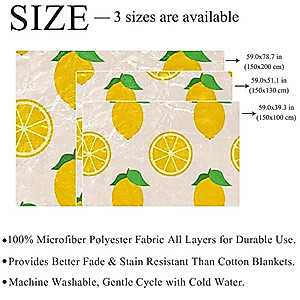 Fleece Throw Blanket for Couch Sofa or Bed Cozy Soft Blankets Yellow Fresh Lemons Summer