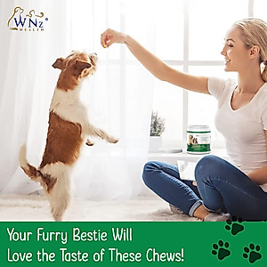 Omega 3 Skin and Coat Chews for Dogs, Dog Salmon Oil Supplement for Joint Pain Relief, Immune Support, Skin and Coat Supplements for Dogs, Chewable Dog Treats for Itchy Skin Relief, 55 Chews, 8 Oz