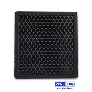 PUREBURG Replacement Filters Compatible with YIOU R1 P1802 Air Purifier & Elechomes P1801 Air Purifier,2-Pack H13 True HEPA + Activated Carbon 2-in-1