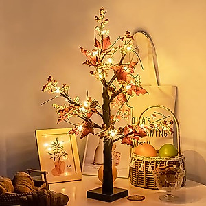 Ethlomoer 2 Pack 24 Inch Artificial Fall Maple Tree, Prelit 48 LEDs for Thanksgiving Decorations Fall Decor, Battery Operated with Timer, Lighted Autumn Tabletop Tree for Harvest Home Indoor Decor