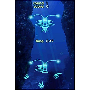 Zenses: Ocean Edition - Nintendo DS