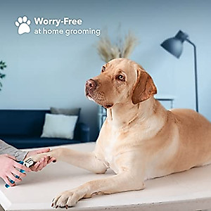 BOSHEL Dog Nail Clippers - Dog Nail Trimmers for Large Dog with Quick Sensor - Pet Nail Clippers for Dogs - Heavy Duty Pet Nail Trimmer with Safety Guard & Dog Nail File Safe at Home Grooming