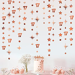 Rose Gold 17th Birthday Decorations Number 17 Circle Dot Star Garland Streamer Bunting Banner Backdrop for Girls Seventeen Year Old Birthday 17 and Fabulous Happy 17th Anniversary Party Supplies